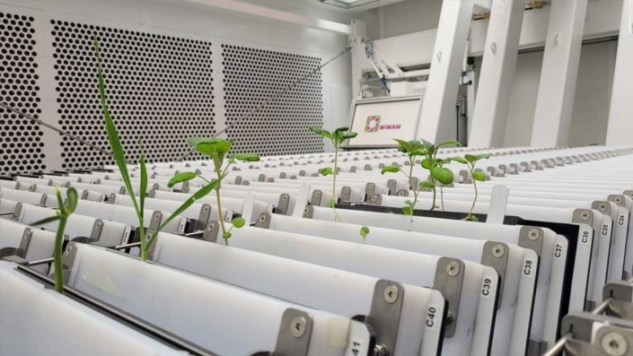Plant Phenotyping Systems - WIWAM